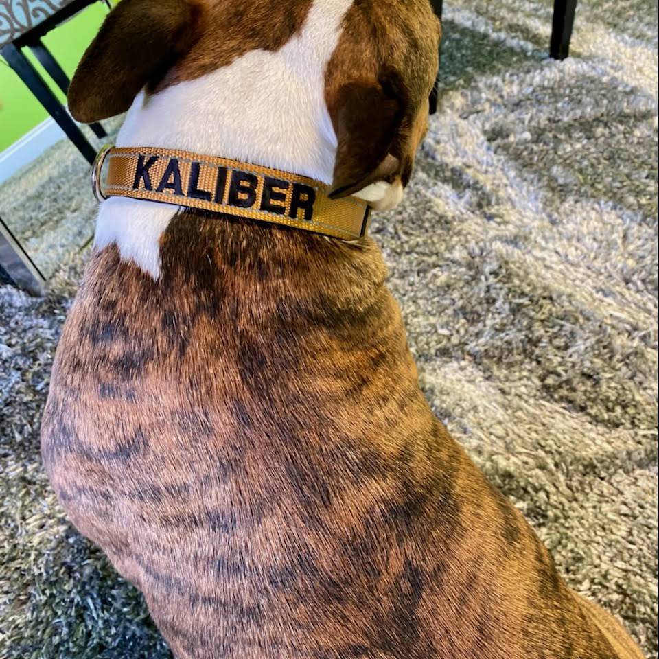 Patch Lady Company | Patch Lady Co.